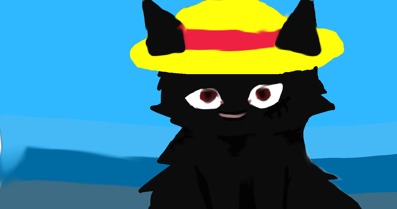 Luffy Kitten by Dragoncats2 on DeviantArt