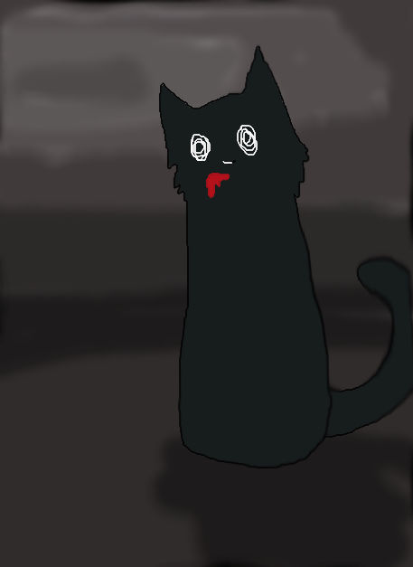 Spooky the Cat by Dragoncats2 on DeviantArt