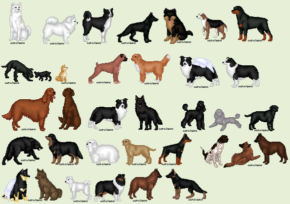 PixelDogs by gurain on DeviantArt