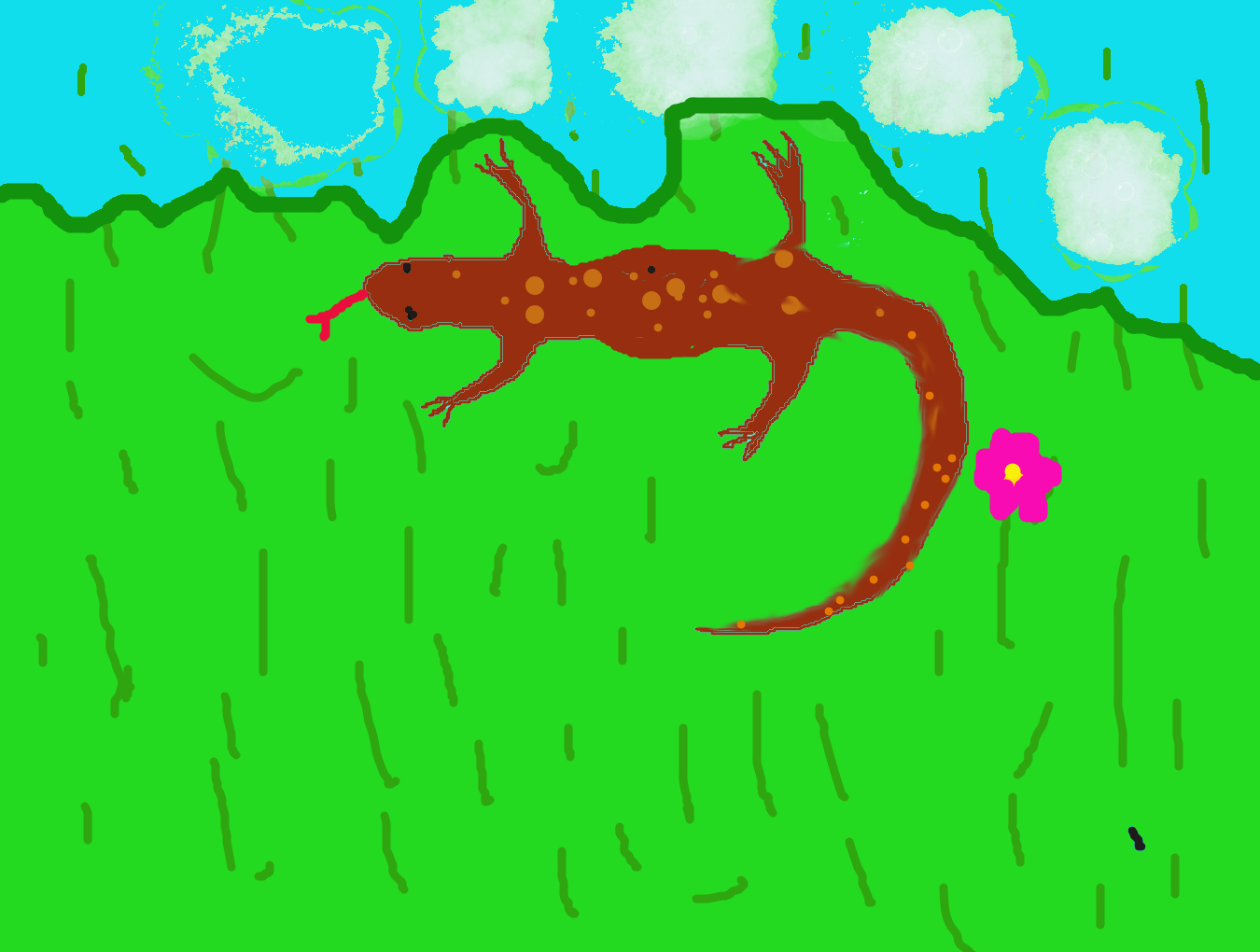 first drawing ever on deviant art! A skink!! by slim4fun on DeviantArt