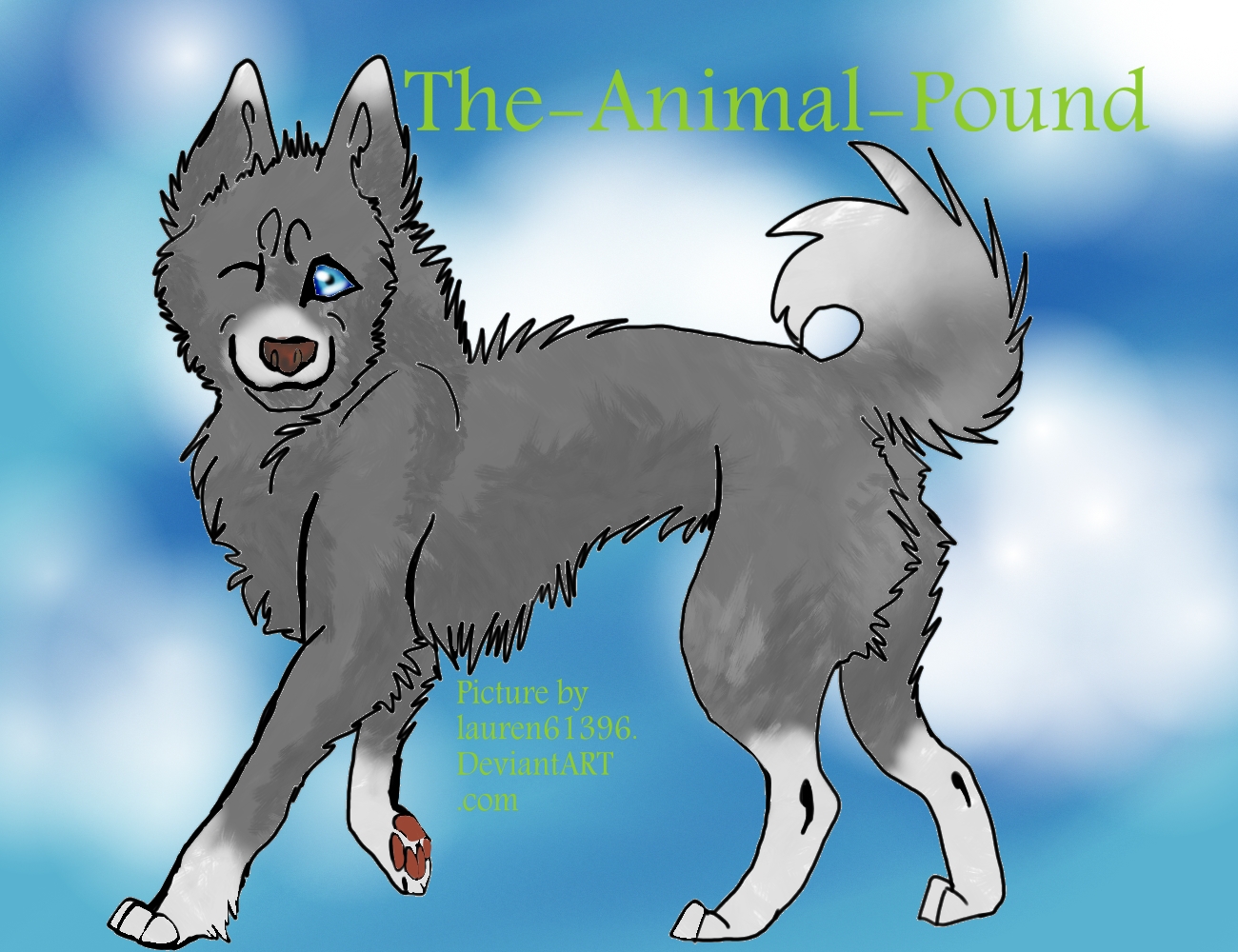 The Animal Pound by Somber0wl on DeviantArt