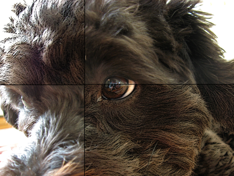 Realistic Painting Action by Peacemaker636 on DeviantArt