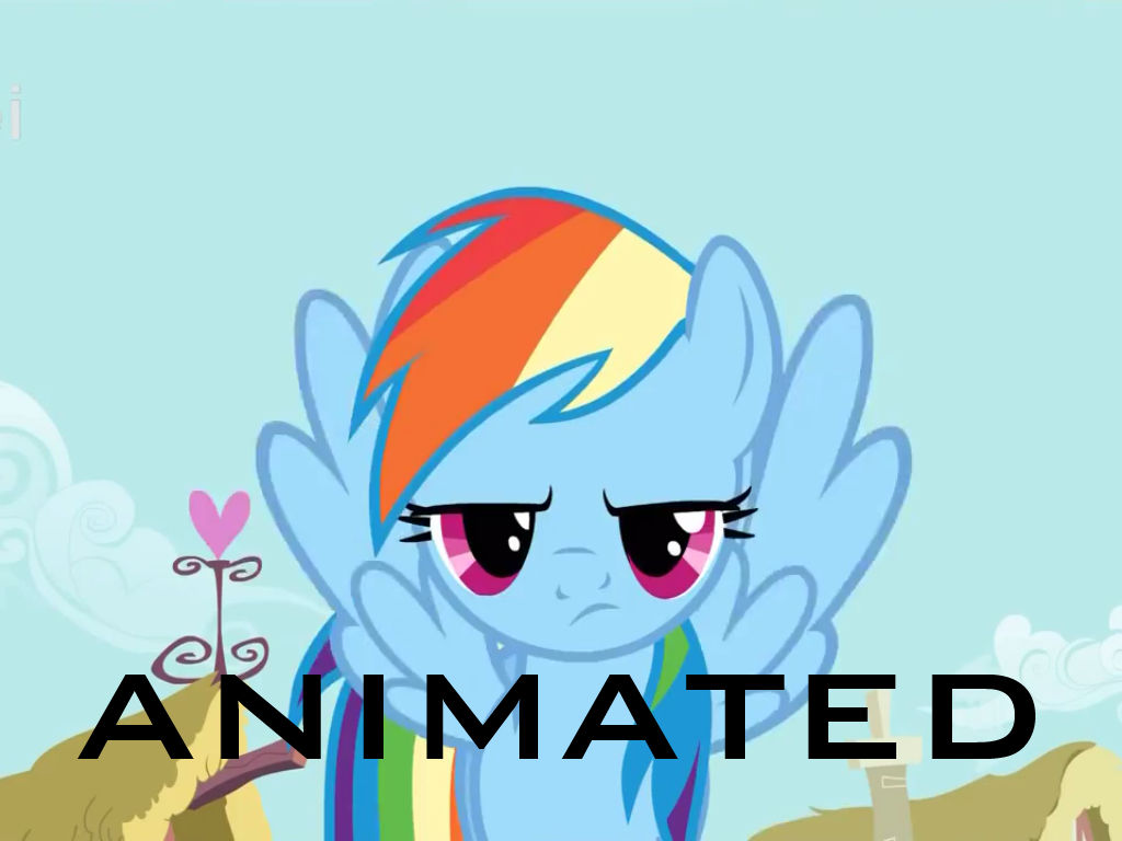 Rainbow Dash Flight Cycle 1 by CybertronikPony on DeviantArt