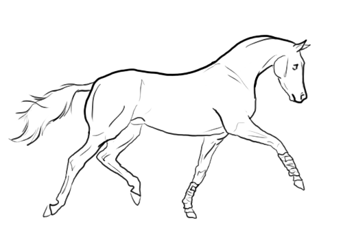 Free Trotting Horse Lineart by Spectoral on DeviantArt