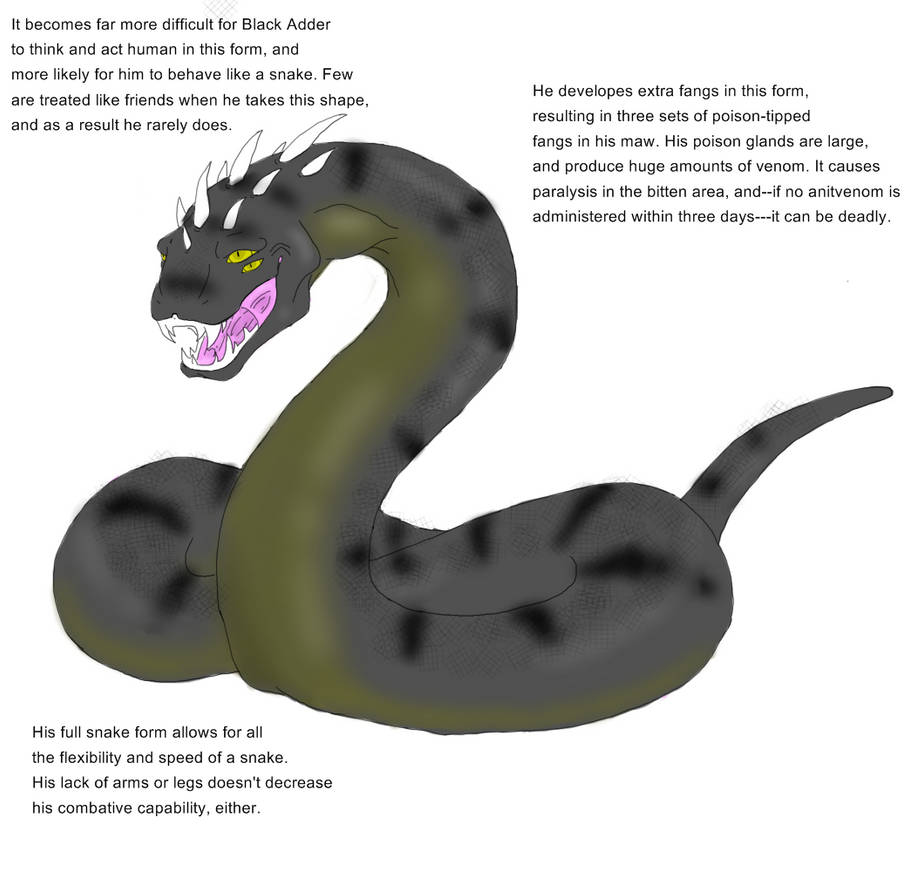 Black Adder (Full Snake) by NamelosesandHell on DeviantArt