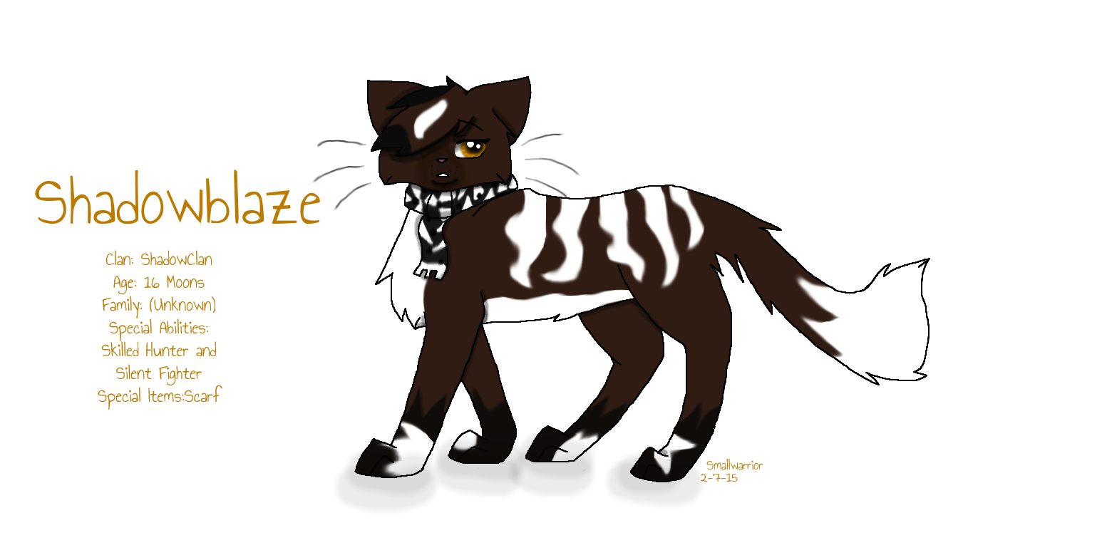 Shadowblaze (ShadowClan OC) by Smallwarrior on DeviantArt