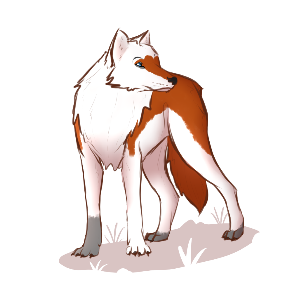 Shiny Fluff. by Nyte-thyme on DeviantArt