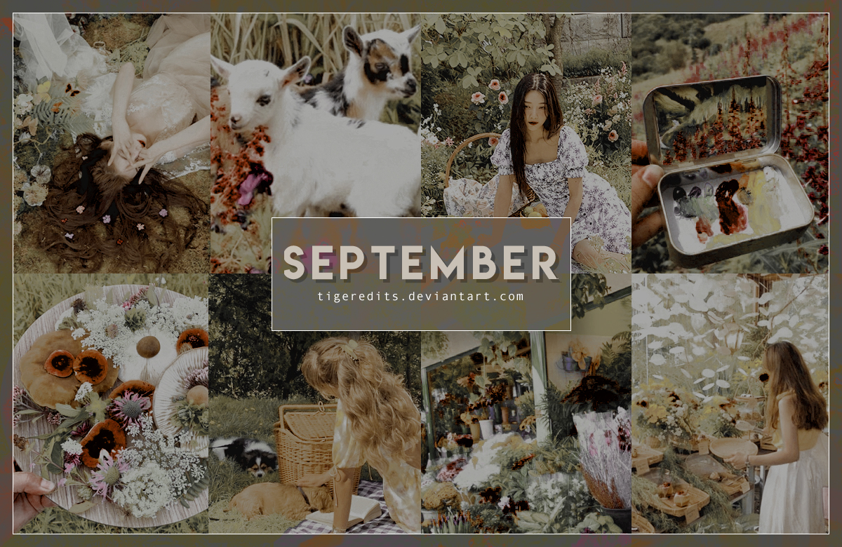 September [PSD] by TigerEdits on DeviantArt