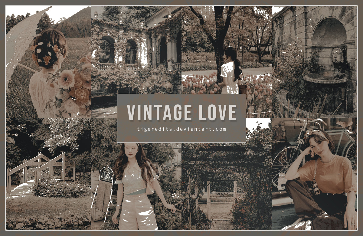 Vintage Love Photography Wallpaper