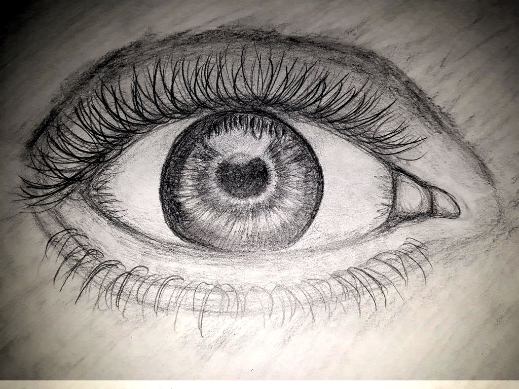Human Eye (by pencil) by ShindaAi on DeviantArt