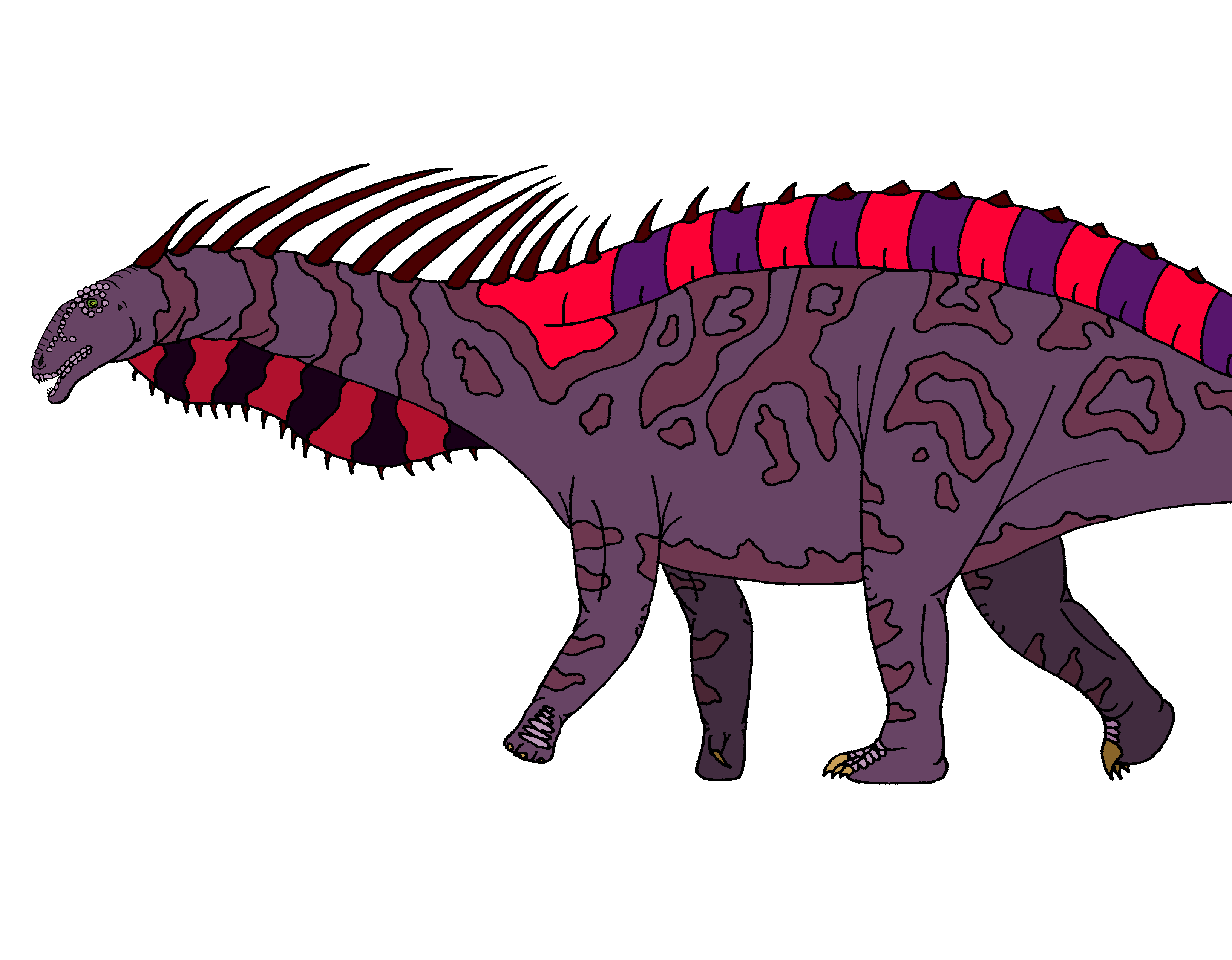 Amargasaurus Colored And Revised by RichardElder on DeviantArt