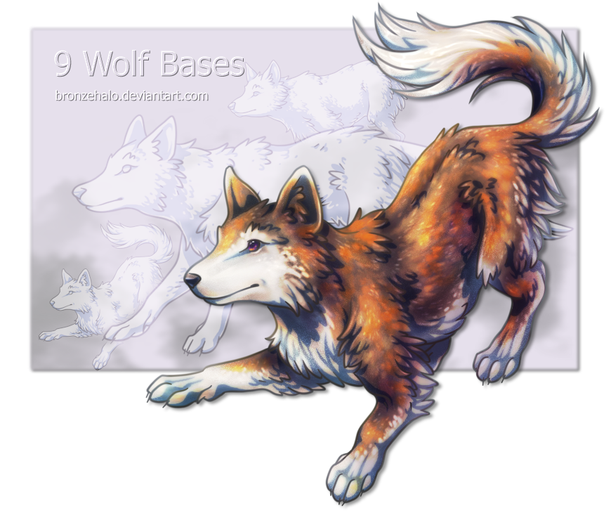 9 Wolf Bases by BronzeHalo on DeviantArt