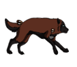 Wolf Animation - Front Run Cycle by Chylk on DeviantArt