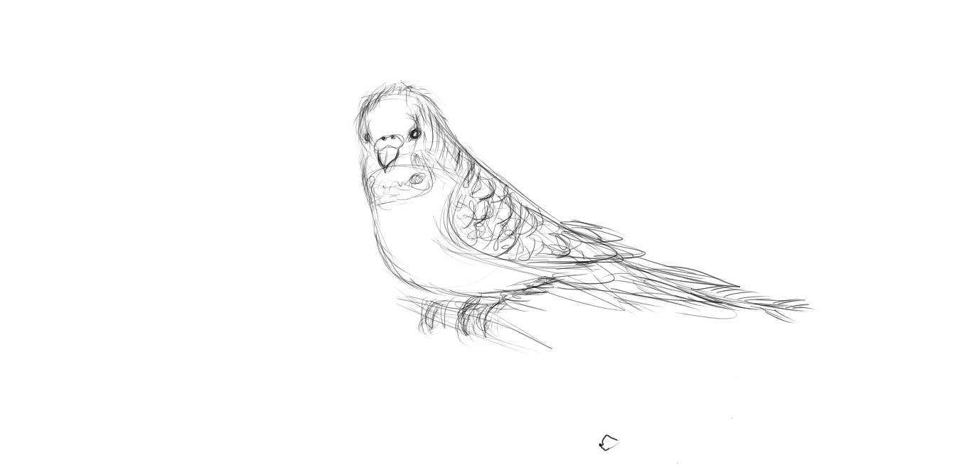 bird by neijablubb on DeviantArt