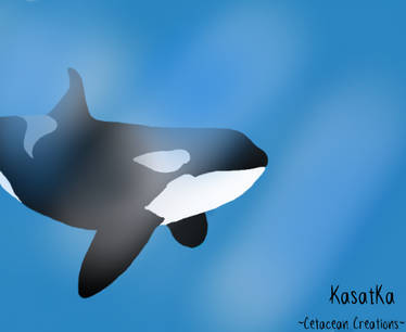 Explore the Best Kasatka Art | DeviantArt