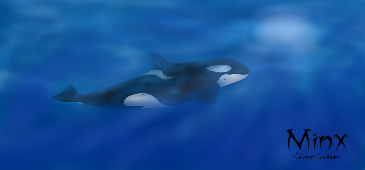 Minx by CetaceanCreations on DeviantArt