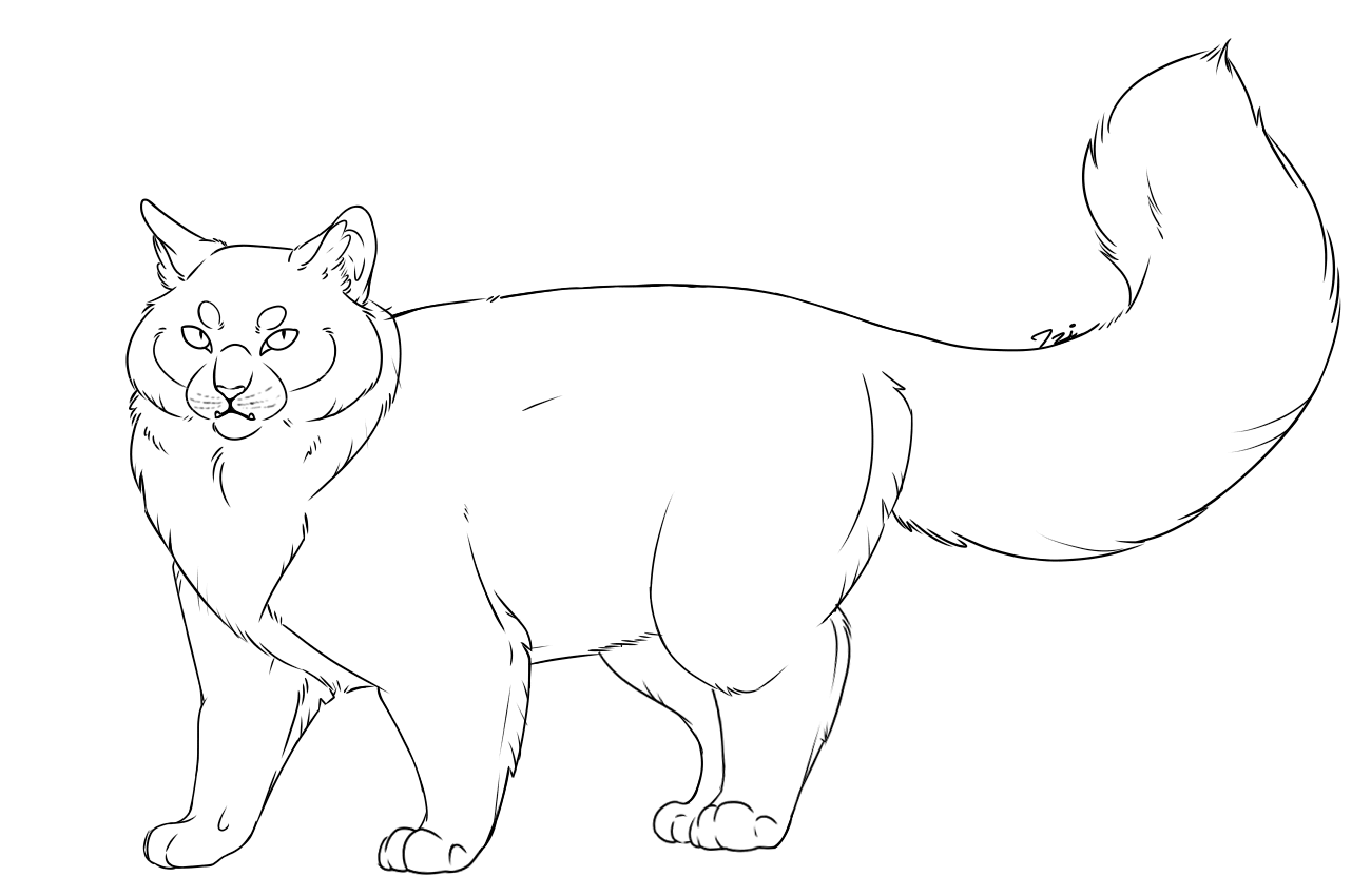 Ragdoll Lineart F2U by Queen-tzi on DeviantArt