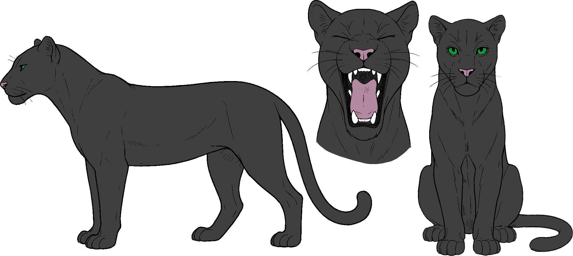 Panther Character Reference Base by kAIartzone on DeviantArt