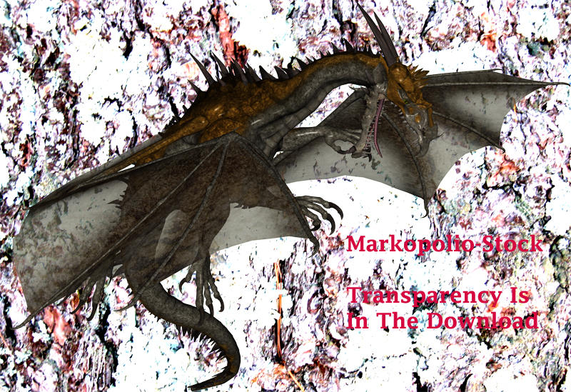 Dragon 1- Apr29 by markopolio-stock on DeviantArt