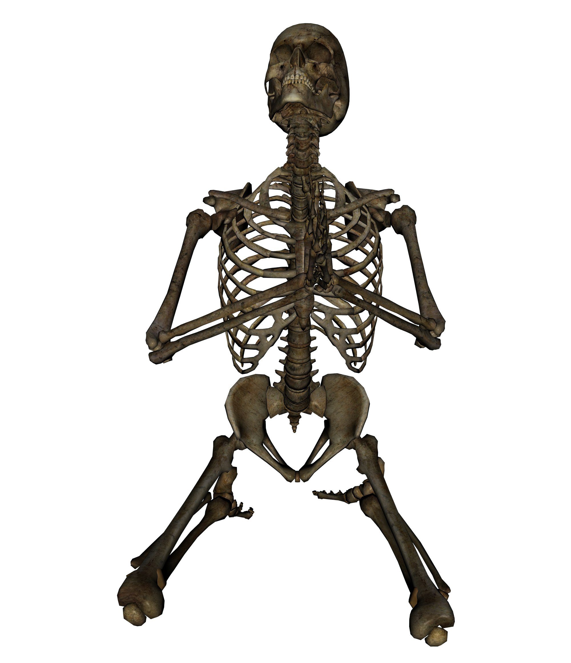 Skeleton - Praying Front by markopolio-stock on DeviantArt