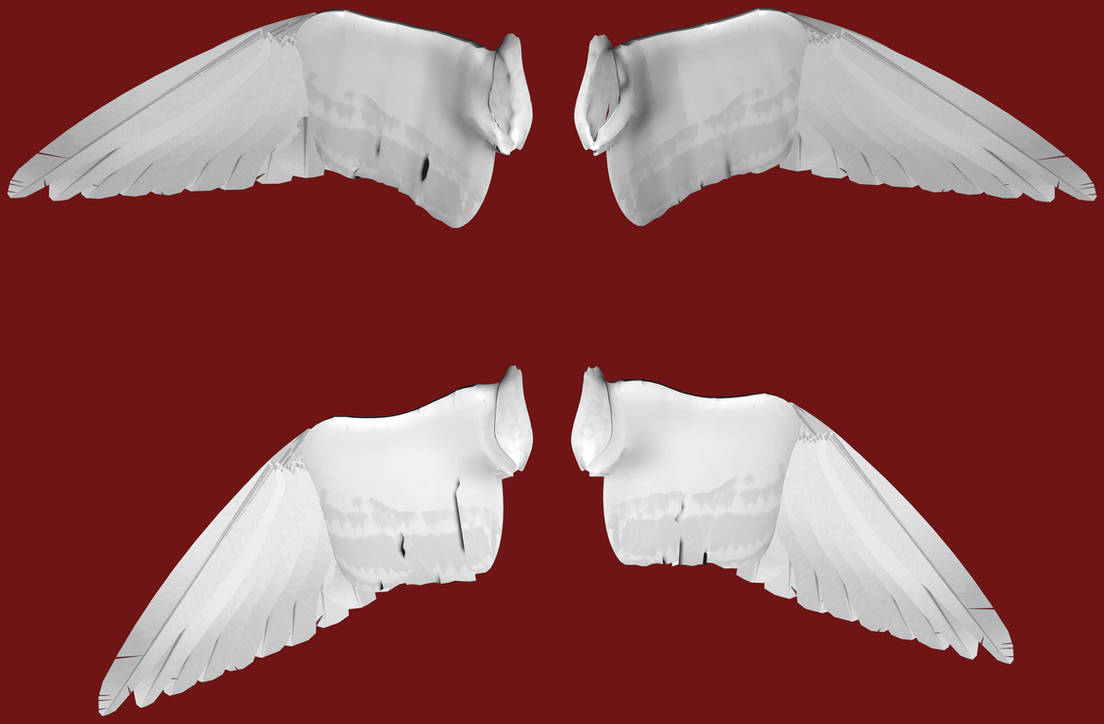 Wings - Angel by markopolio-stock on DeviantArt