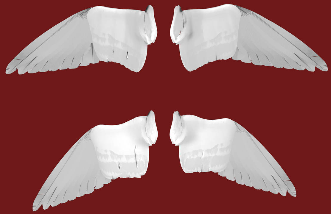 Wings - Angel 2 by markopolio-stock on DeviantArt