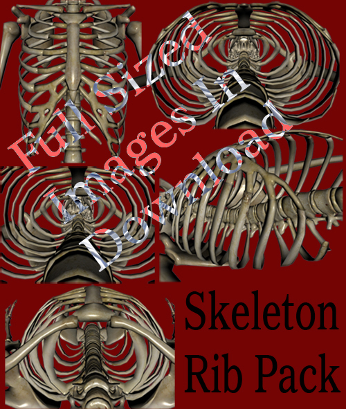 Skeleton Rib Pack - Bone Color by markopolio-stock on DeviantArt