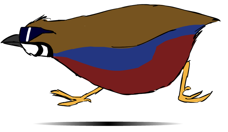 Running Quail Loop Scribble by TinyFeatherpants on DeviantArt