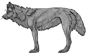 Wolf Lineart by Weyrland on DeviantArt