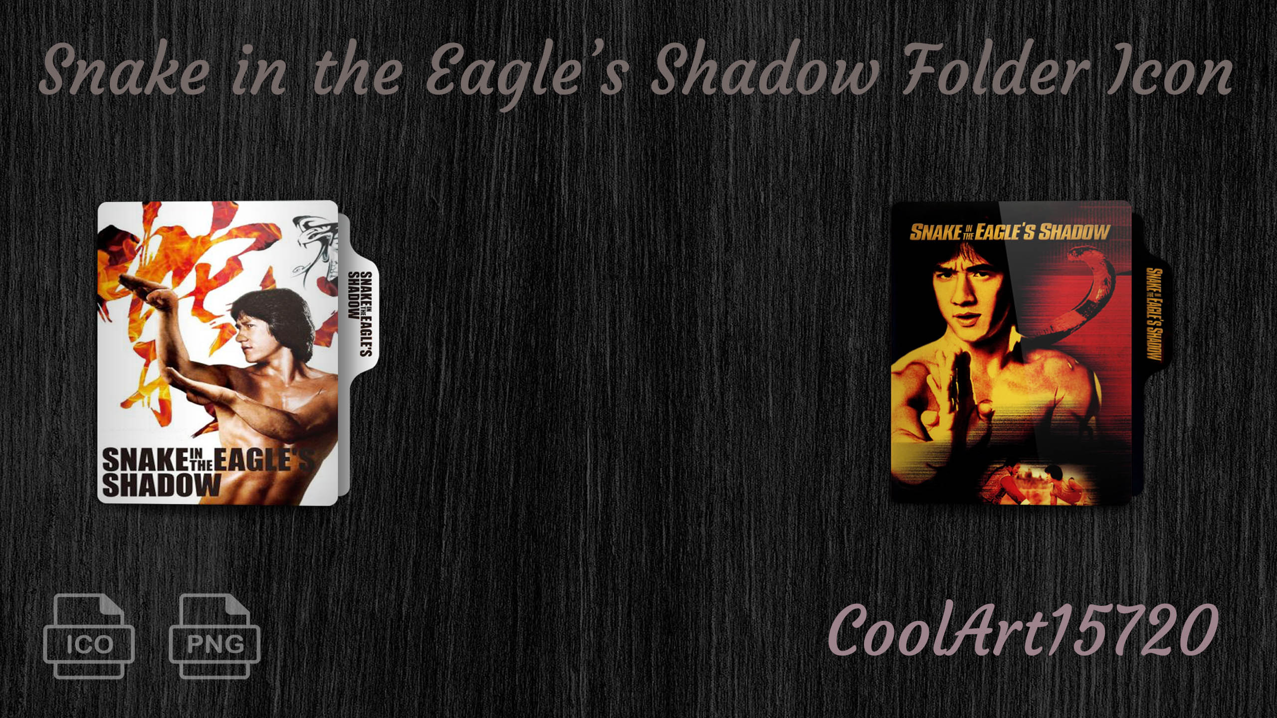 Snake in the Eagle's Shadow (1978) Folder Icon by CoolArt15720 on ...