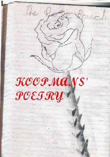Open Faced by Koopmans on DeviantArt