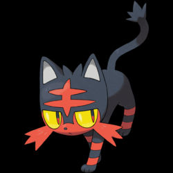 Litten TF TG (Request TF) by LucarioGuy1 on DeviantArt