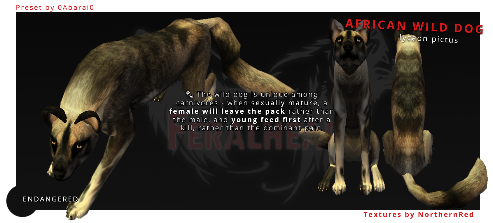FREE!! African Wild Dog 1 by 0Abarai0 on DeviantArt