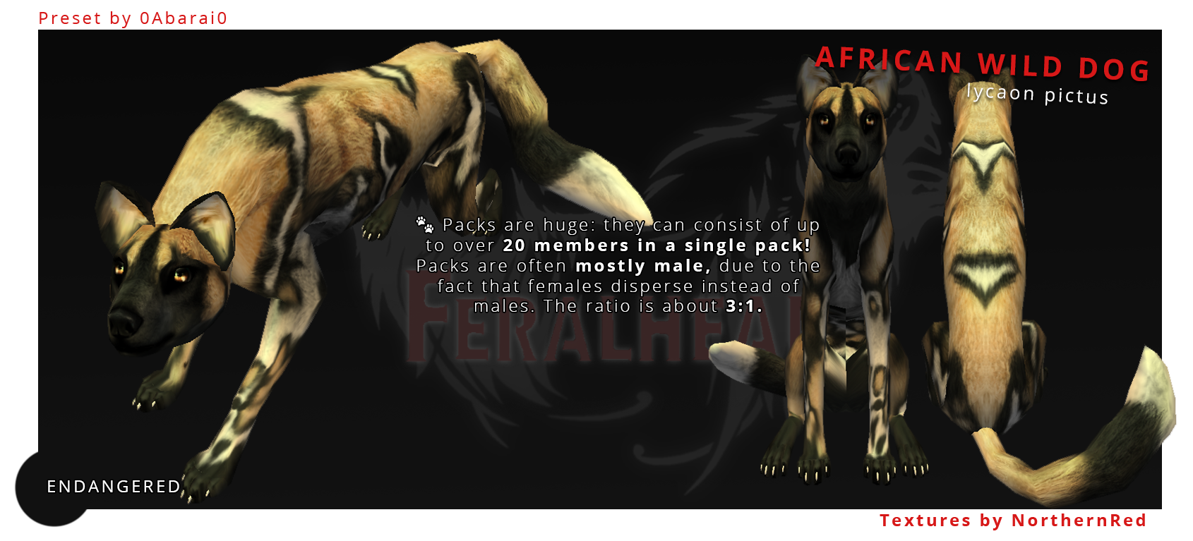 FREE!! African Wild Dog 3 by 0Abarai0 on DeviantArt
