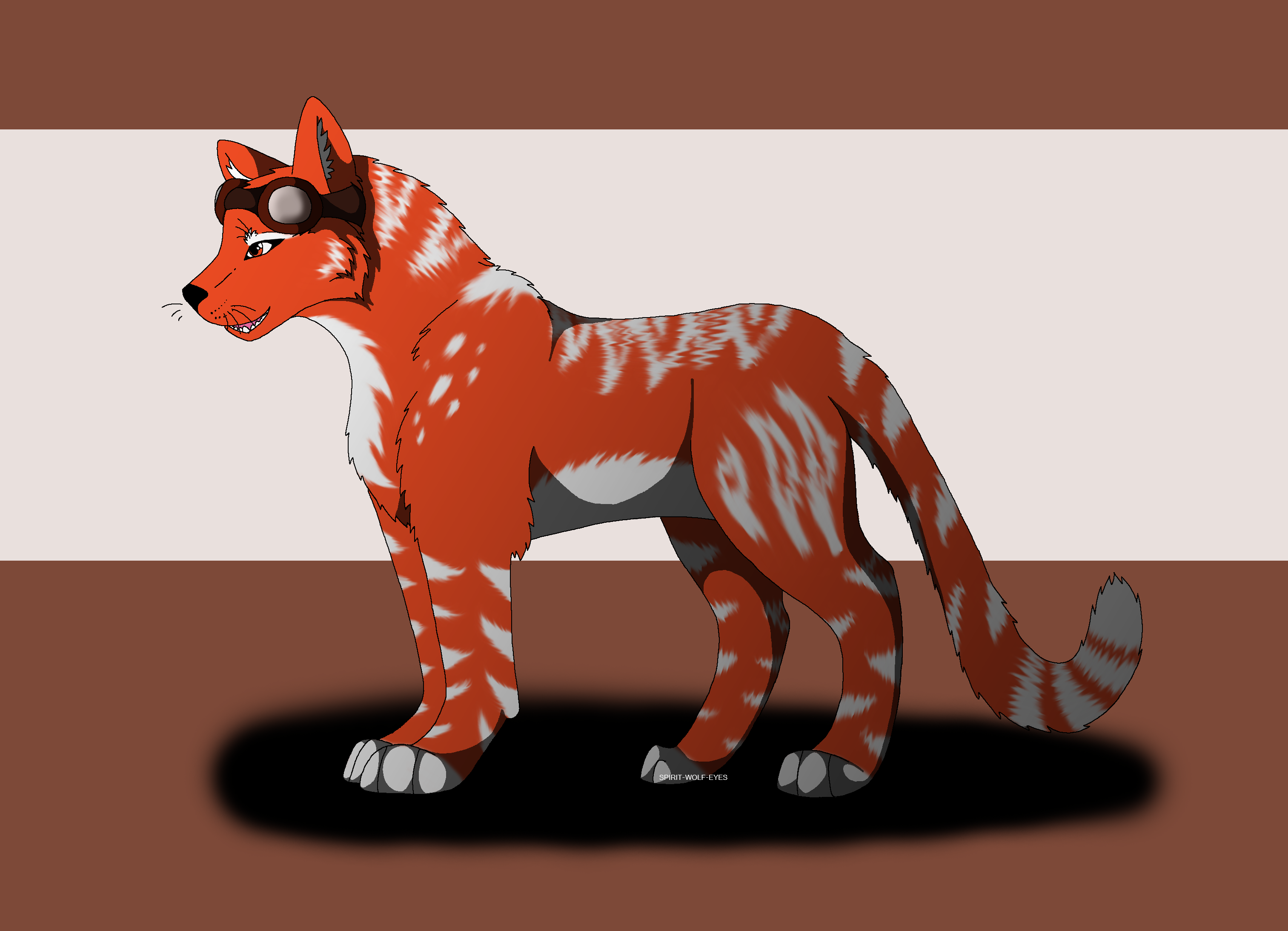 Cindii (cat request) by Spirit-Wolf-Eyes on DeviantArt