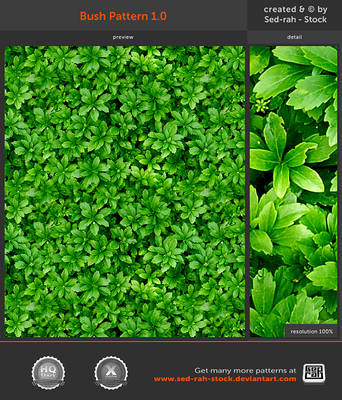 Flower Pattern 1.0 by Sed-rah-Stock on DeviantArt