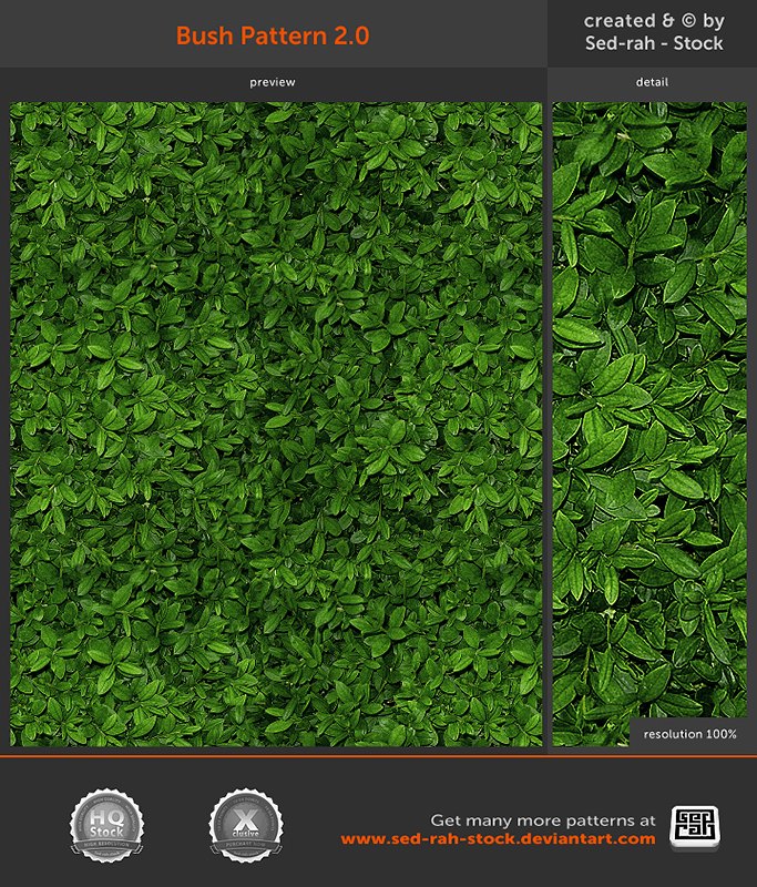 Bush Pattern 2.0 by Sed-rah-Stock on DeviantArt