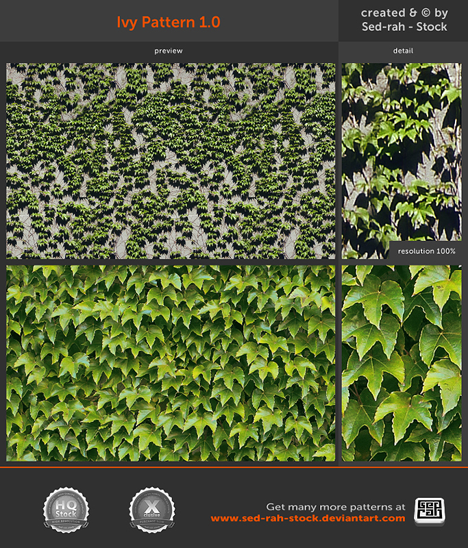 Ivy Pattern 1.0 by Sed-rah-Stock on DeviantArt