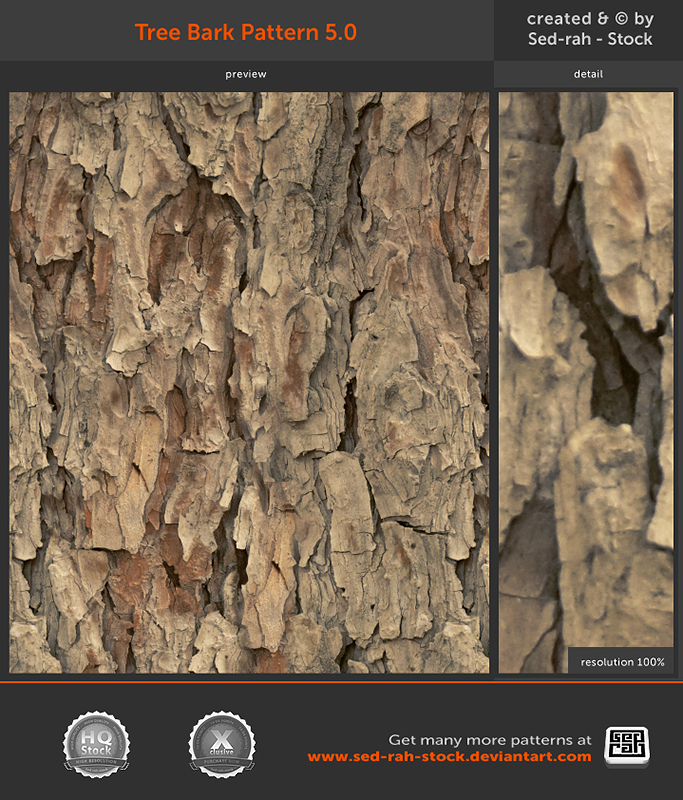 Tree Bark Pattern 5.0 by Sed-rah-Stock on DeviantArt