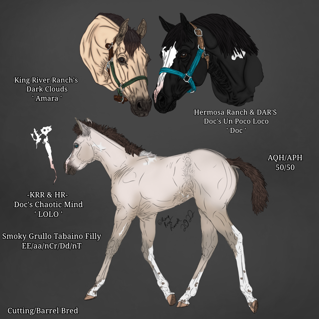PTU FOAL SHEET by KingRiverRanch on DeviantArt