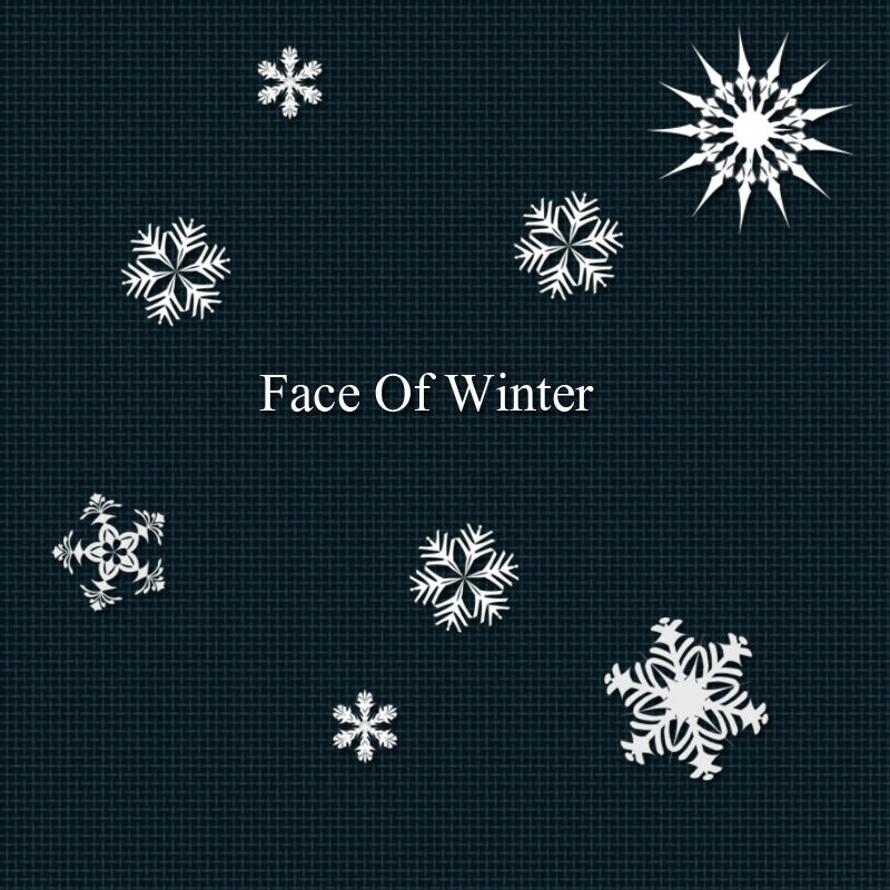 Face Of Winter by chamirra on DeviantArt