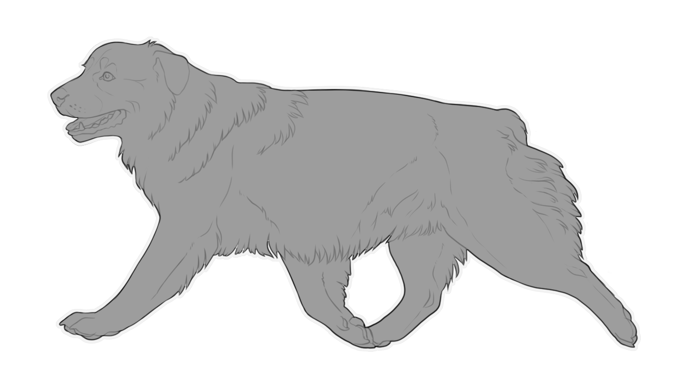 Australian Shepherd Lineart - $2 by Tauriiga on DeviantArt