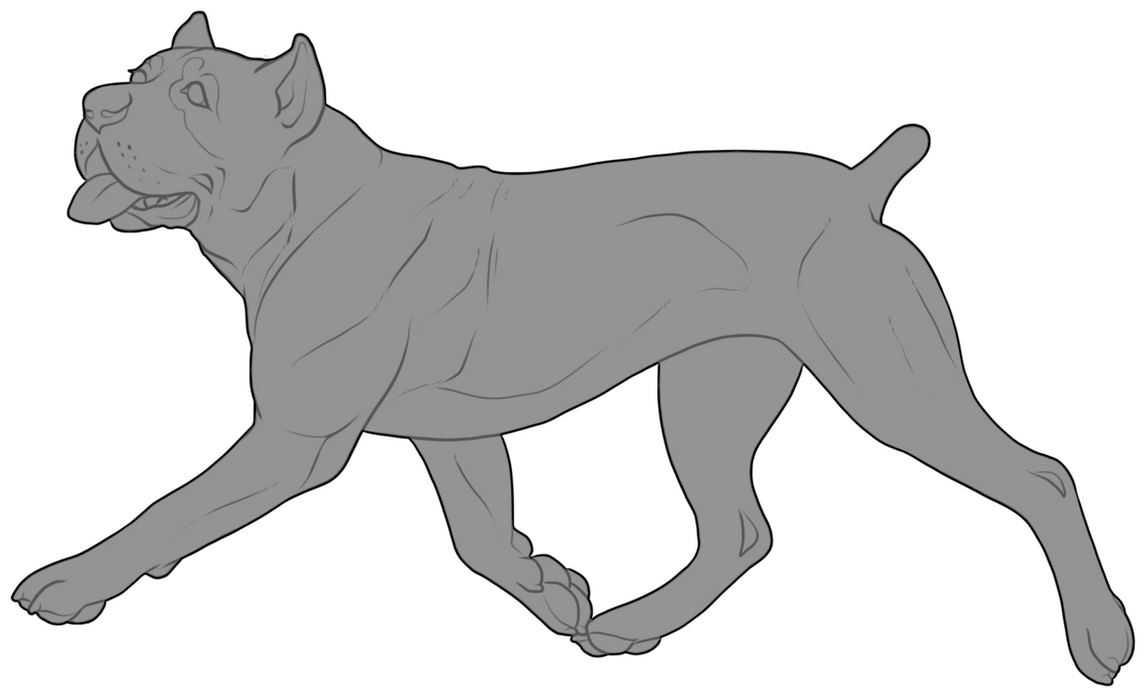 Boerboel Lineart by Tauriiga on DeviantArt