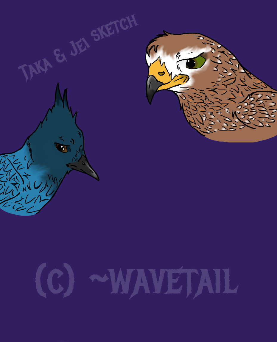Taka and Jei: Sketch by wavetail on DeviantArt