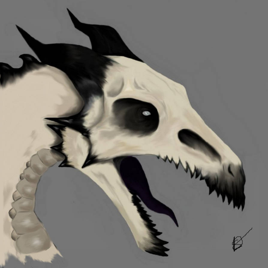 DRAGON by AfterTheSuffering on DeviantArt