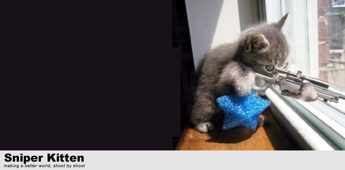 Wallpaper: Sniper Kitten by scrollmedia on DeviantArt