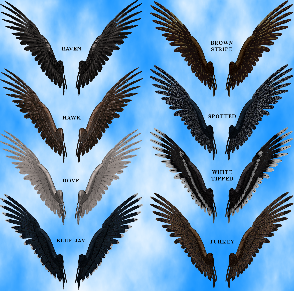 Feathered Wings 2B Stock Pack by Aazari-Resources on DeviantArt