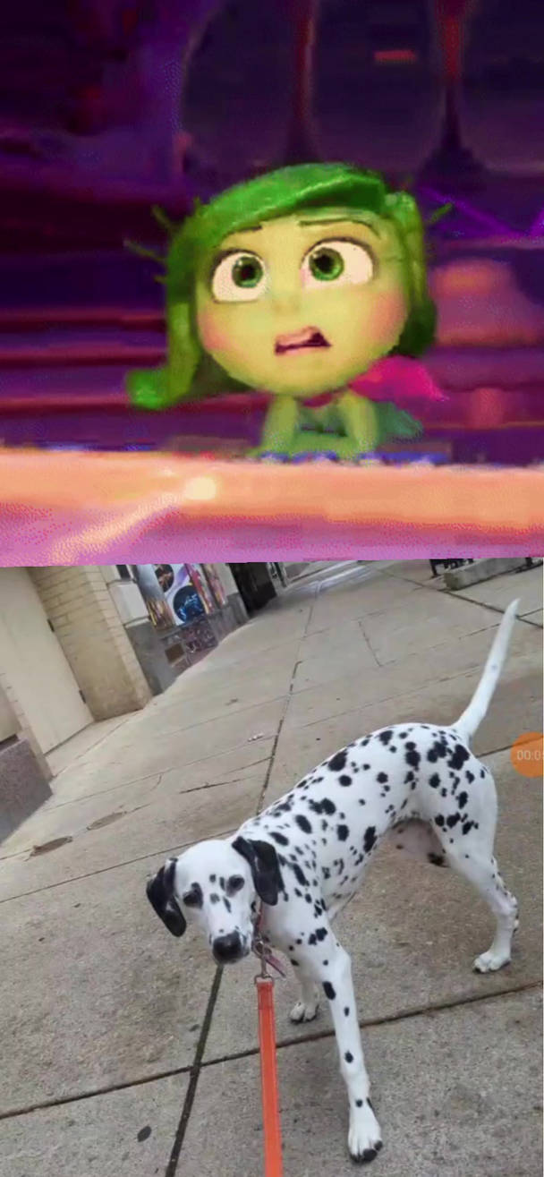 Disgust is a Dog by alexloustaunau12 on DeviantArt