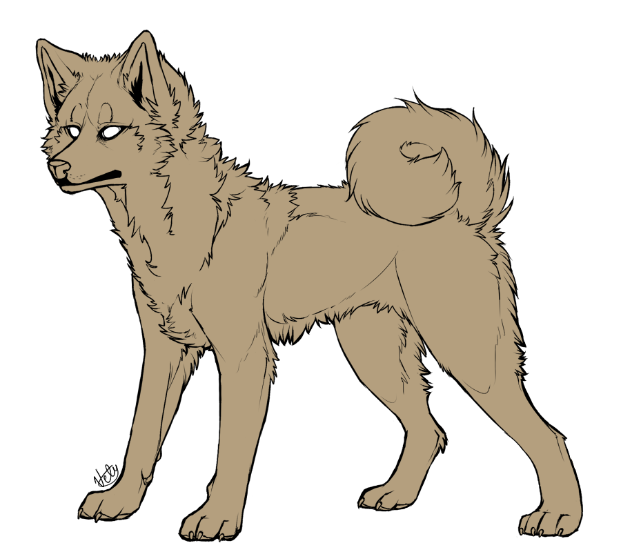Akita lineart by Velyra on DeviantArt