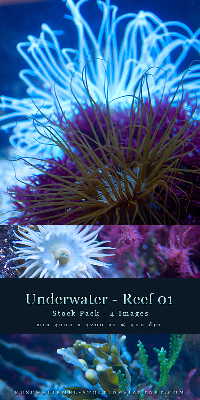 Stock Pack - Reef 01 by kuschelirmel-stock on DeviantArt